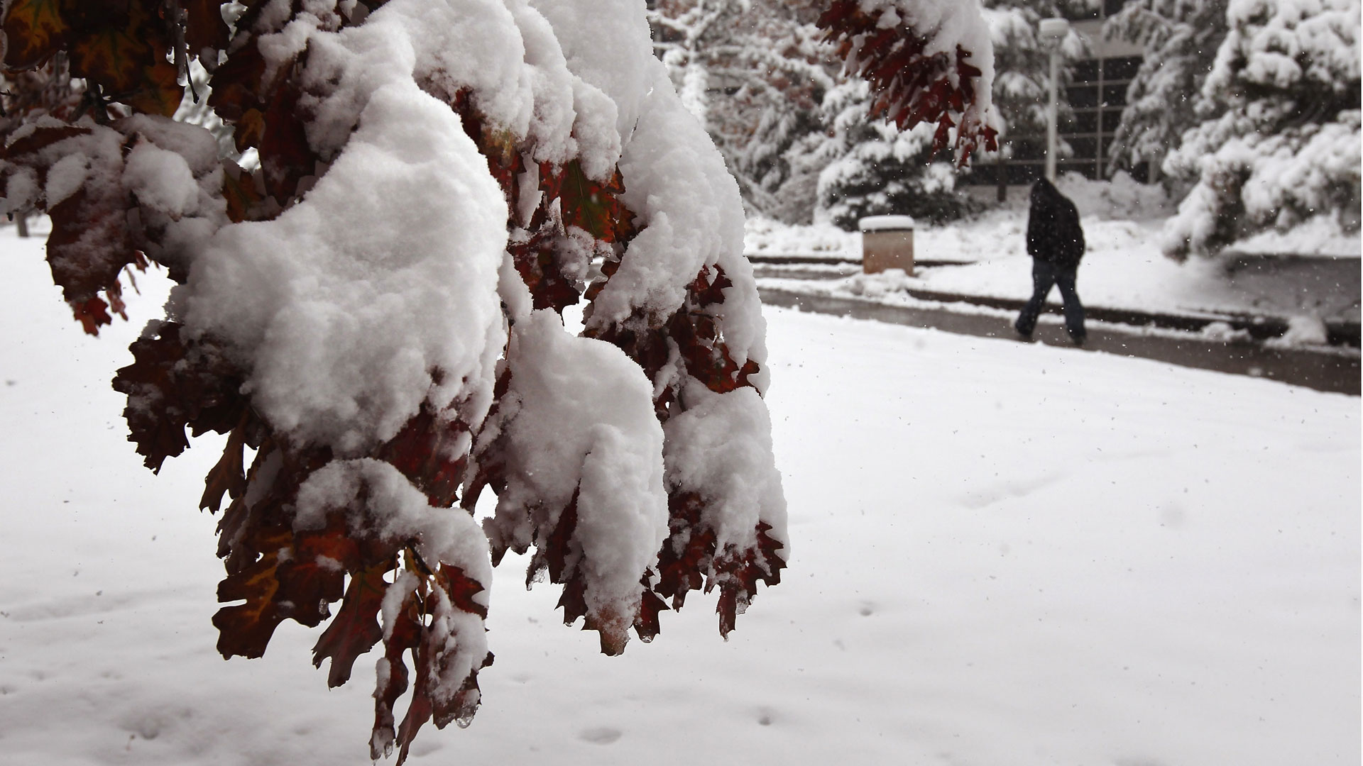 Third October snow in the forecast: Here's what you need to know | KRDO