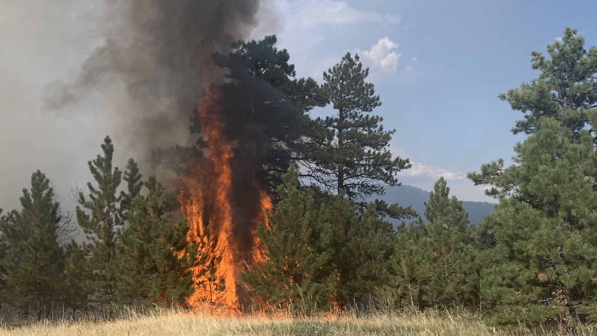 Progress made against Colorado fire west of Denver - KRDO